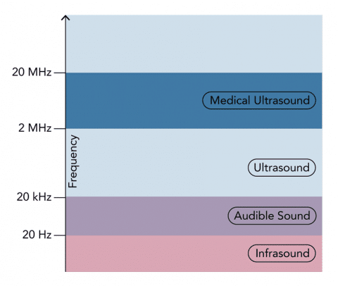 Ultrasound Principles - theguidewire